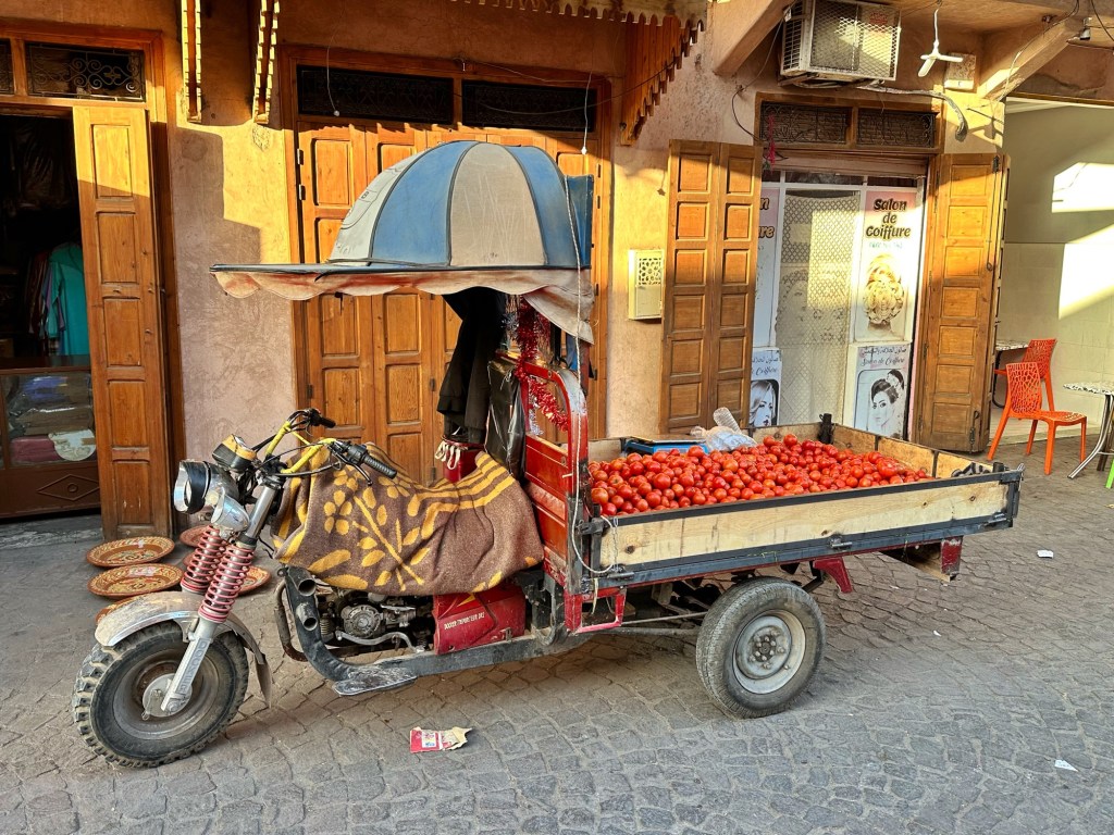 Najbolje sorte paradajza za 2025. godinu – TOMATO BOX
