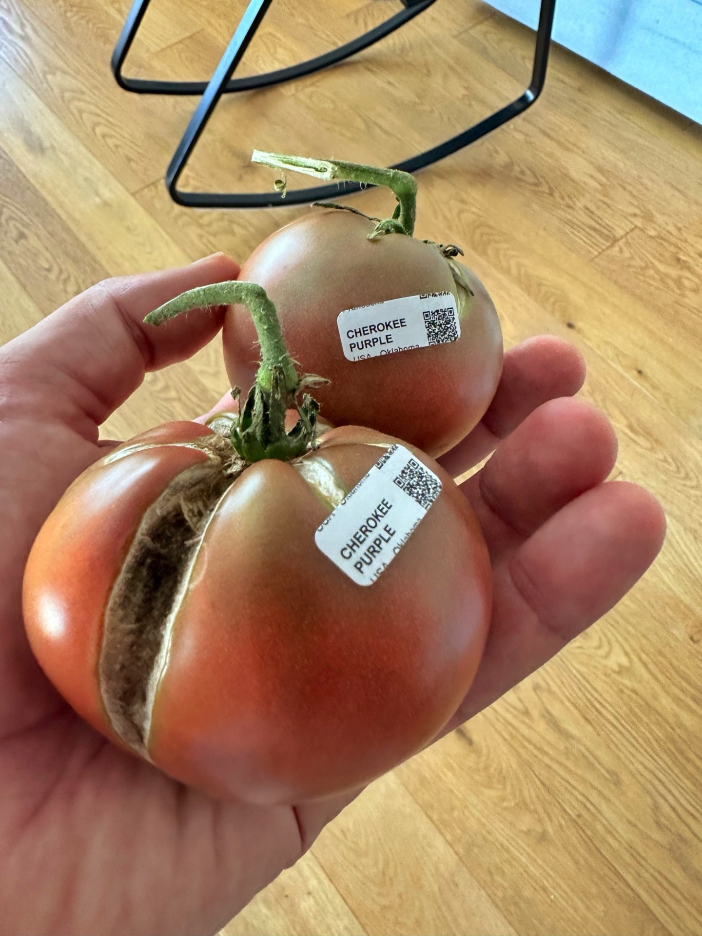 Najbolje sorte paradajza za 2025. godinu – TOMATO BOX